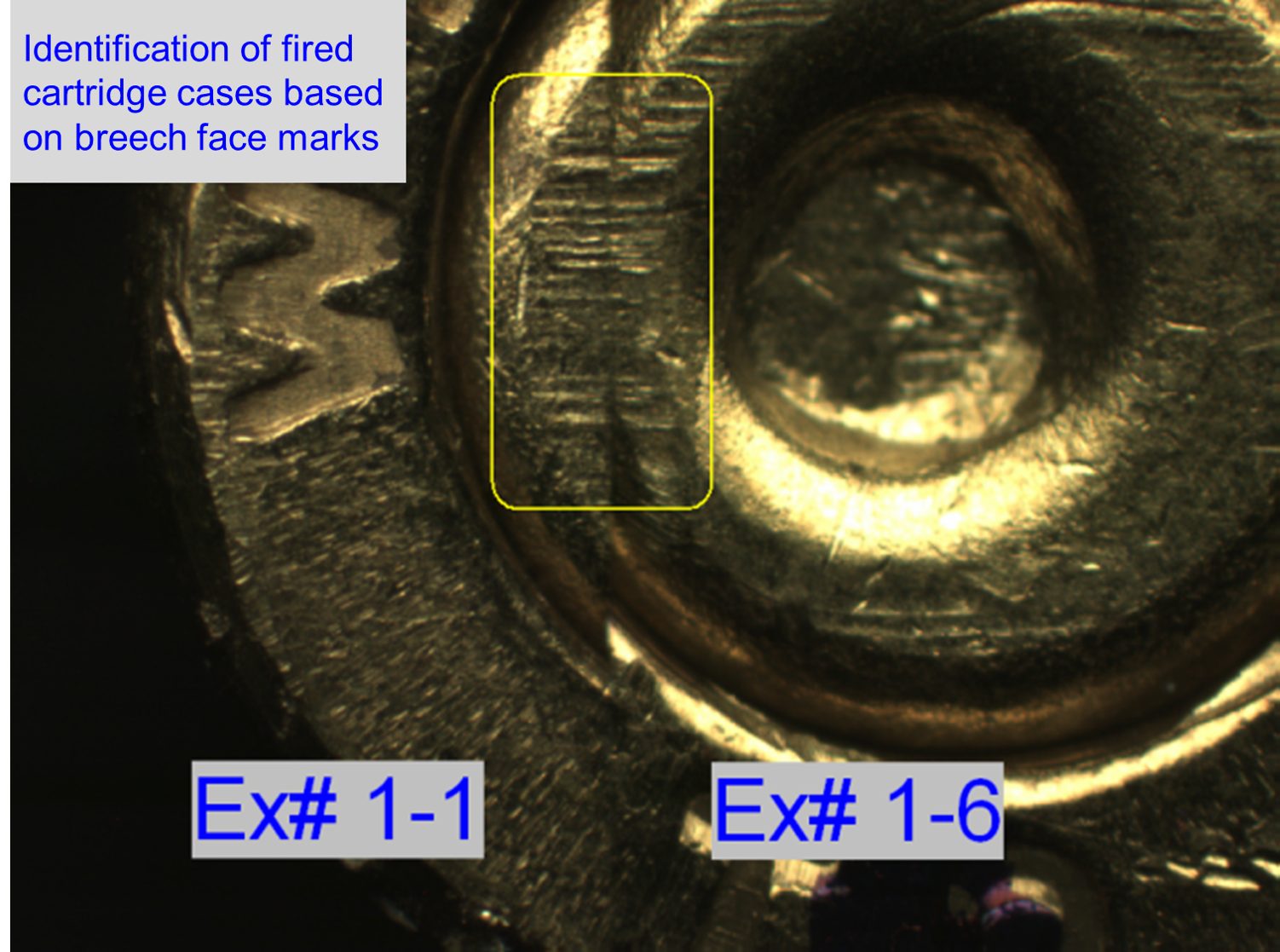 Forensic Firearm Analysis - Ida Smith Books